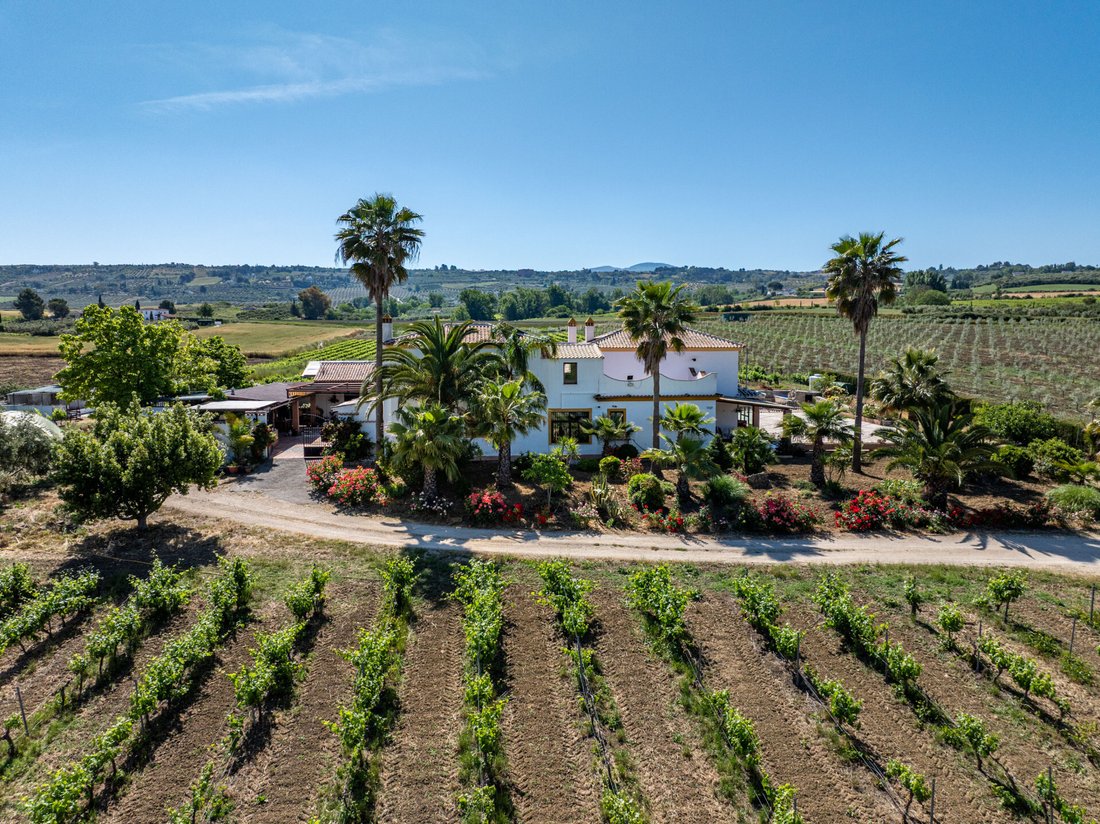 Gorgeous Andalusian Country Home With Vineyard And In Ronda, Andalusia ...