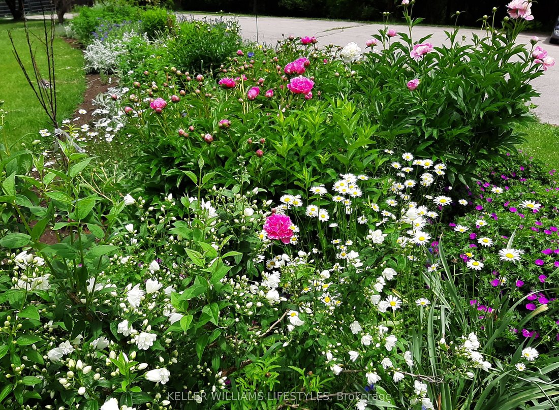 Residential Middlesex Centre In Arva, Ontario, Canada For Sale (15659693)