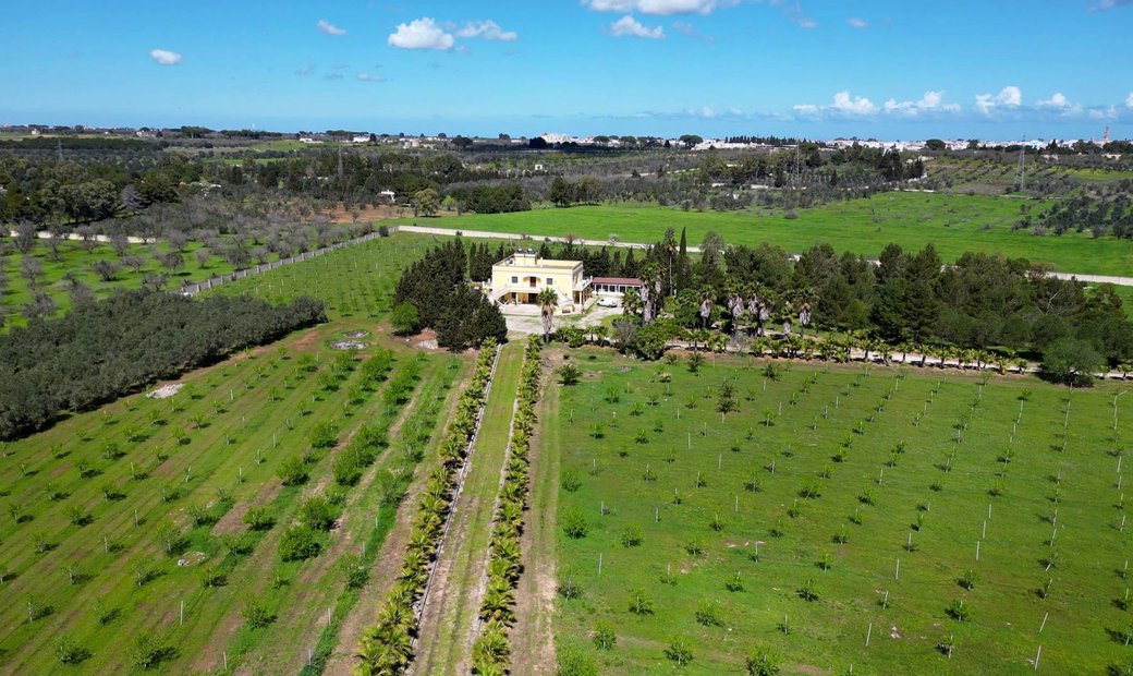 Villa For Sale In Novoli In Apulia, Italy For Sale (15826801)