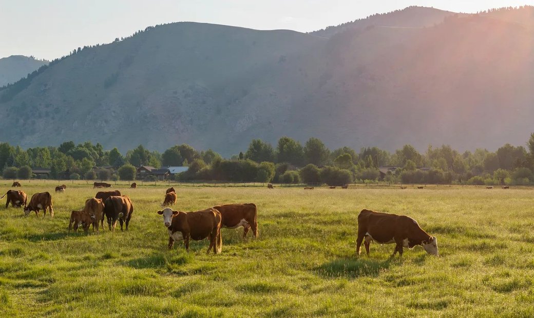 Historic Jackson Hole Ranch In Jackson, Wyoming, United States For Sale ...