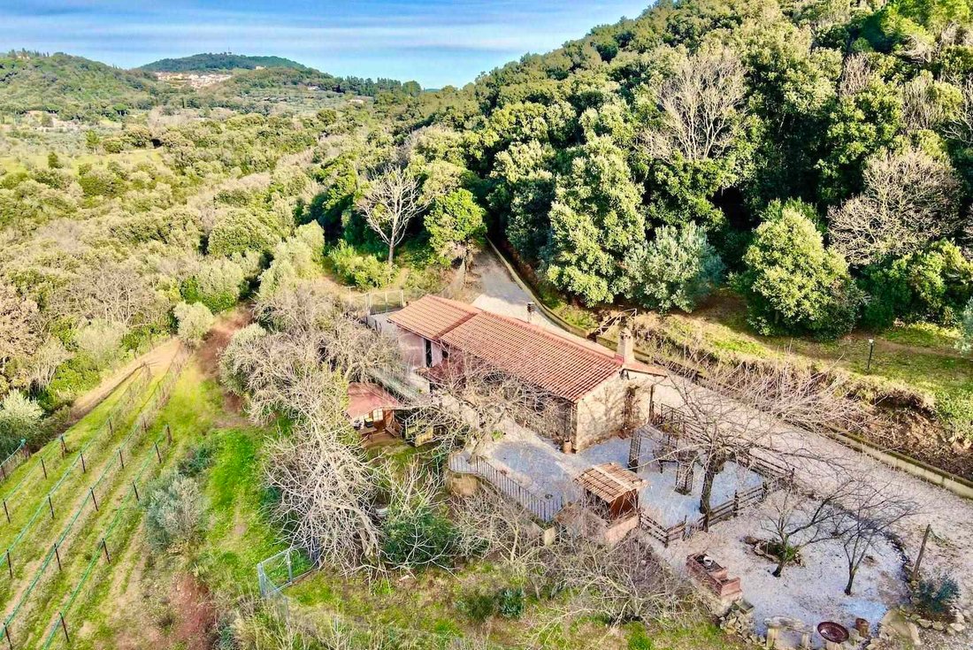 Podere Le Vigne – A Slice Of Paradise Among In Venturina Terme, Tuscany ...
