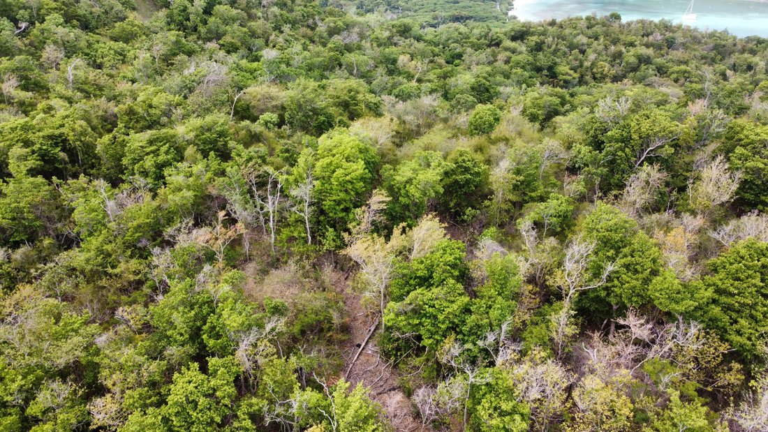 Terreno/Terreno En Coral Bay, St. John, Islas Vírgenes De Los Estados ...