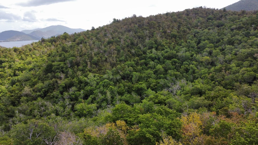 Terreno/Terreno En Coral Bay, St. John, Islas Vírgenes De Los Estados ...
