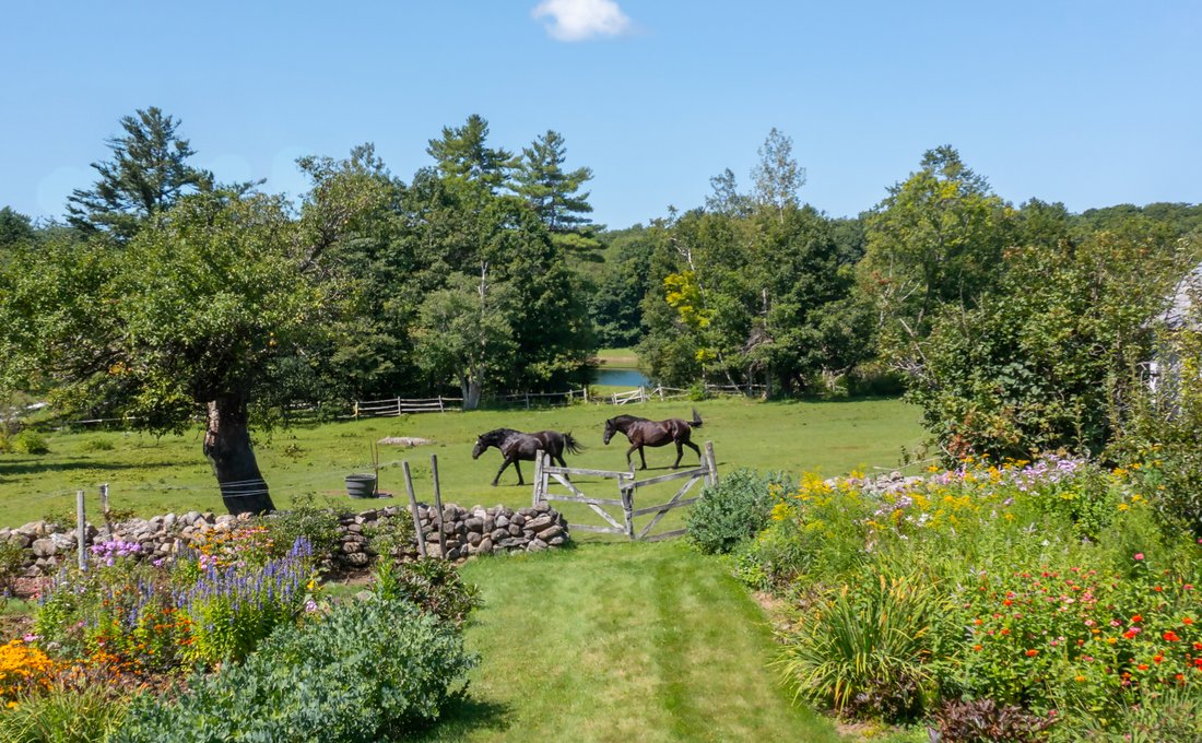 227 Acres, 227 Years. Your In Great Barrington, Massachusetts, United ...