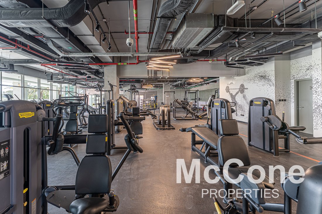 Fully Fitted Gym | Swimming Pool | High In Dubai, Dubai, United Arab ...
