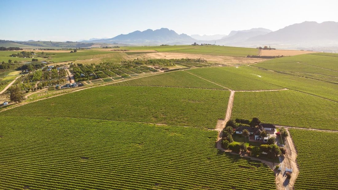 Wine Farm With Breathtaking Views In Stellenbosch, Western Cape, South ...