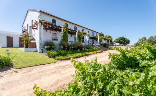 Luxury gated community homes for sale in Stellenbosch Farms, Western ...