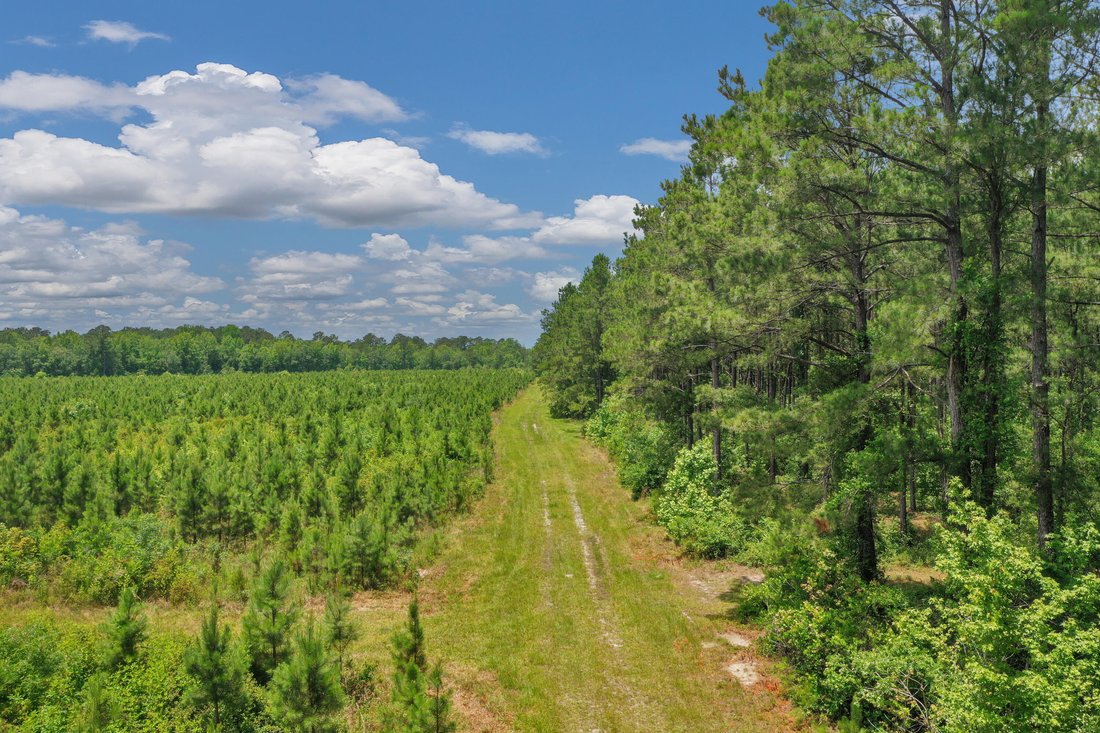 Lots And Land Manning In Manning, South Carolina, United States For ...