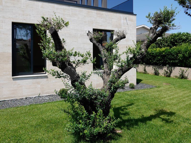 Live 200 Metres From The Beach Luxury 6 Bedroom Villa In Vila Chã ...