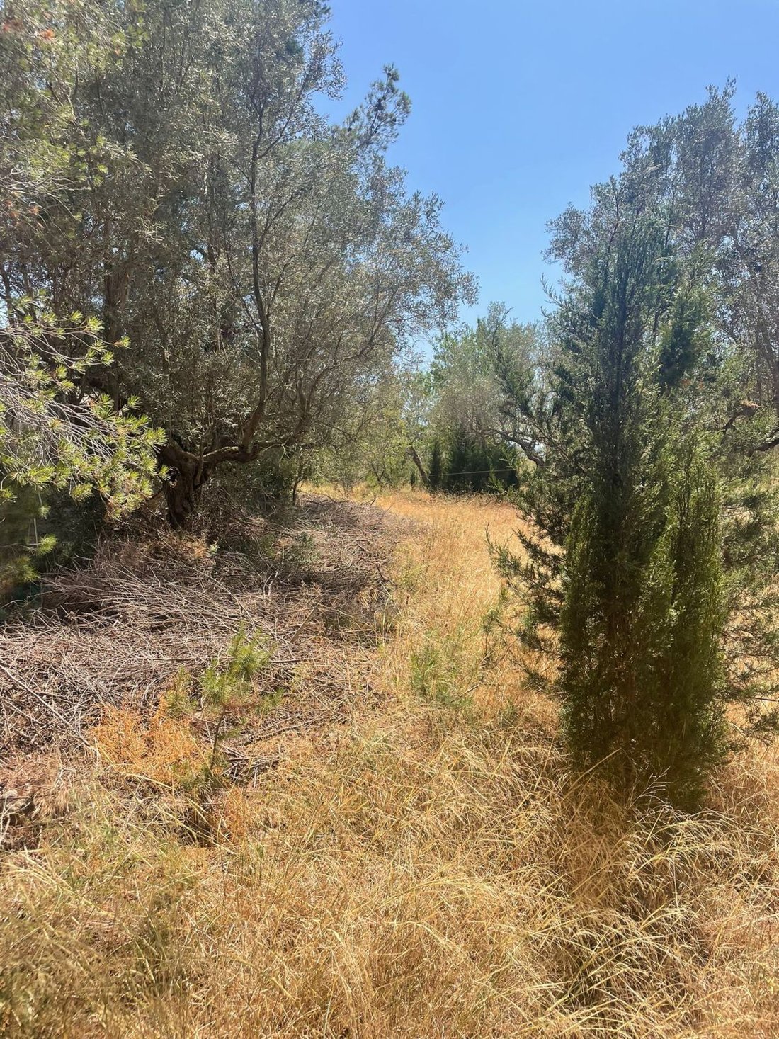Finca Rústica Venta Tarragona In Tarragona, Catalonia, Spain For Sale ...