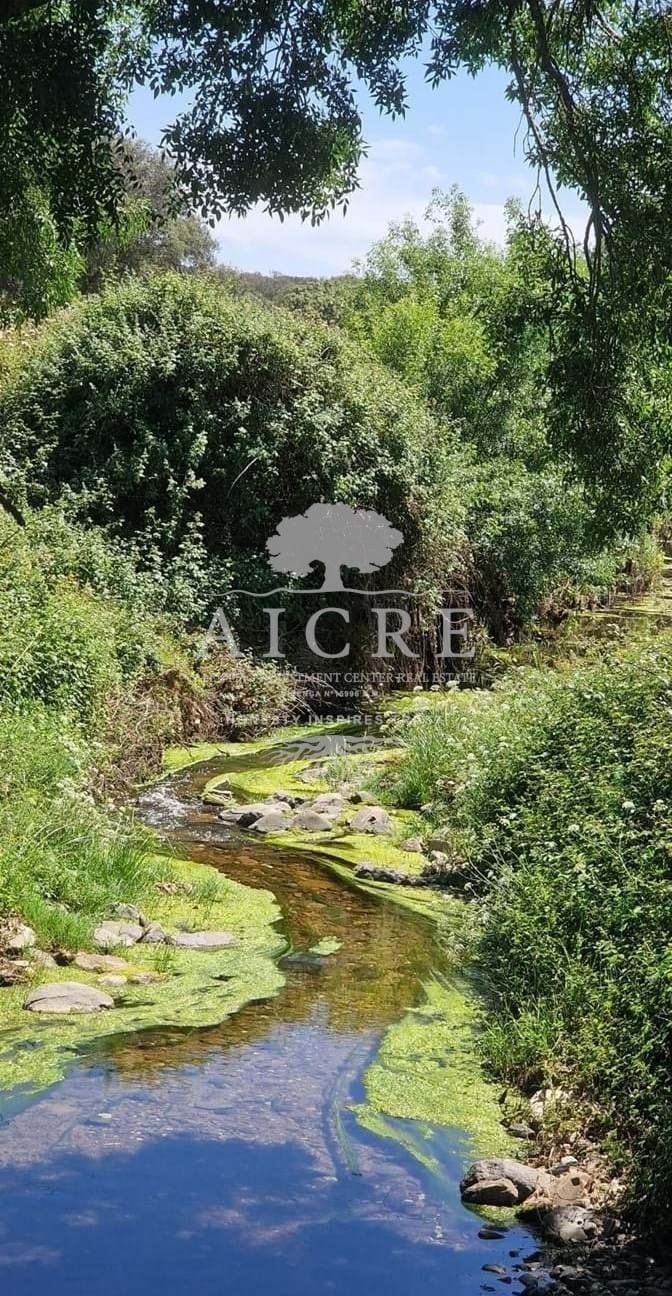 Estate In Terrugem With 115 Hectares In Sao Gregorio E Santa Justa ...