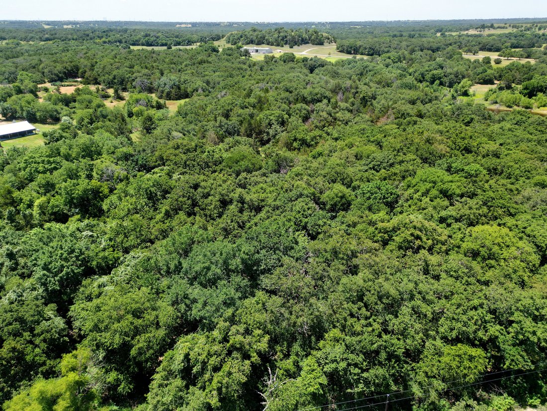 Stout In Decatur, Texas, United States For Sale (15900622)