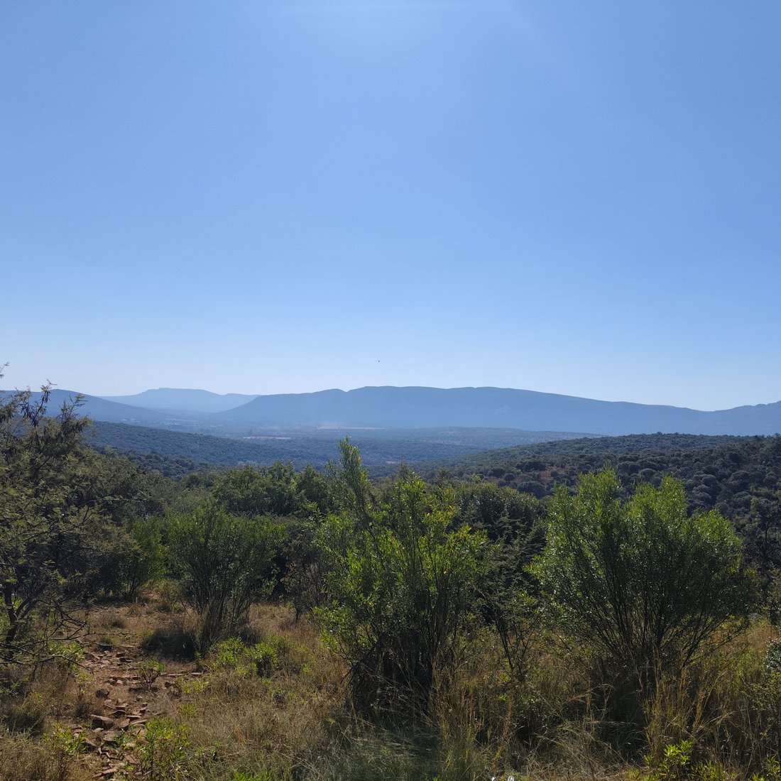 Magnificient Private Game Reserve In Rustenburg, North West, South ...