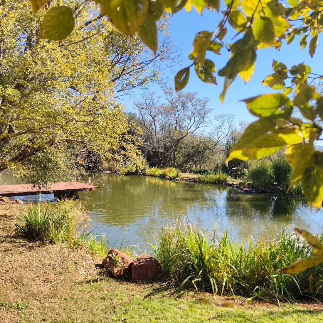 Magnificient Private Game Reserve In Rustenburg, North West, South ...