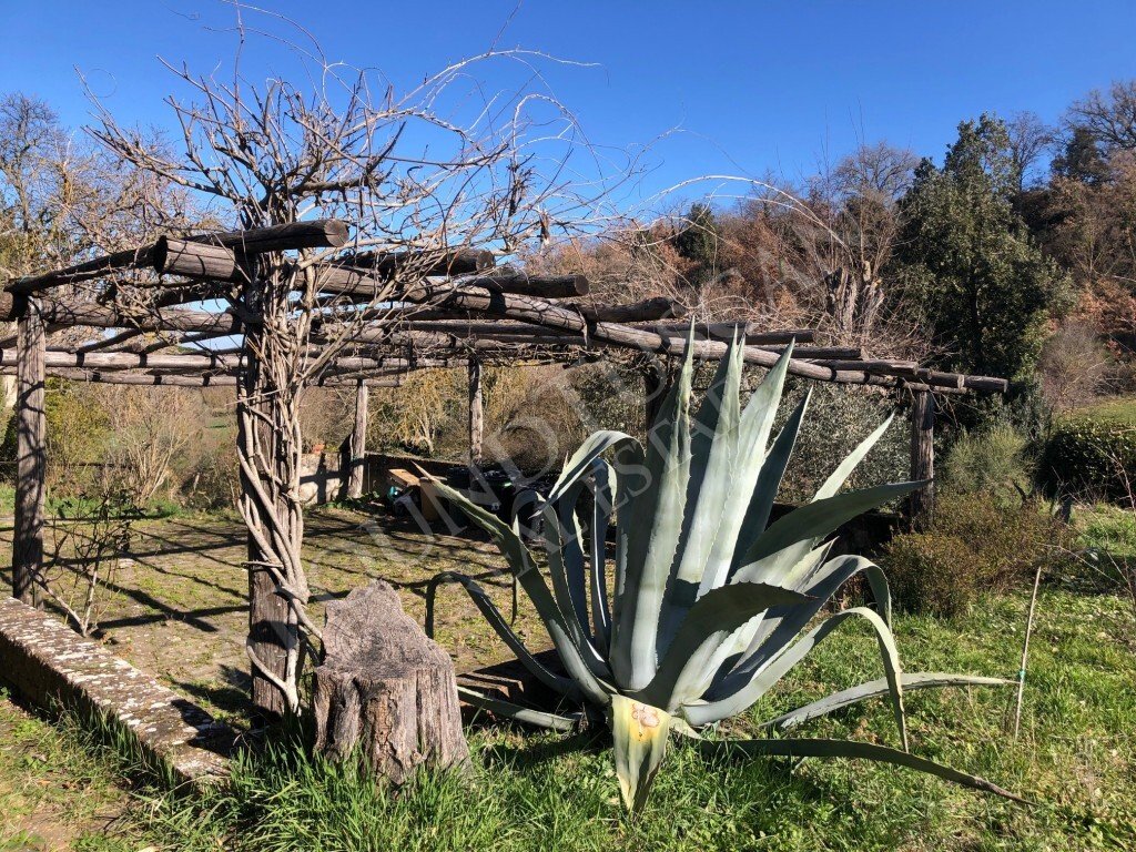 Beautiful Farmhouse With Annexes In Chiusi Scalo, Tuscany, Italy For ...