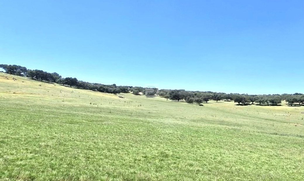 Herdade Do Castelo Novo In Terrugem E Vila Boim, Portugal For Sale ...