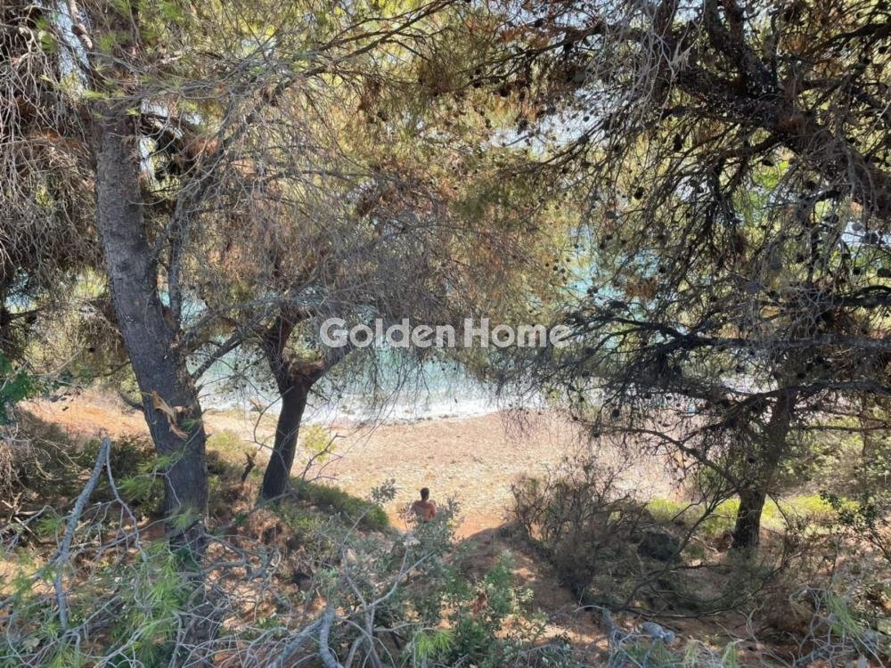 Sale Land Parcel 93995sqm, Ormilia In Polygyros, Macedonia And Thrace ...