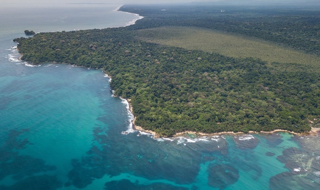 A Pristine Oceanfront Sanctuary In In Punta Mona, Limón Province, Costa ...