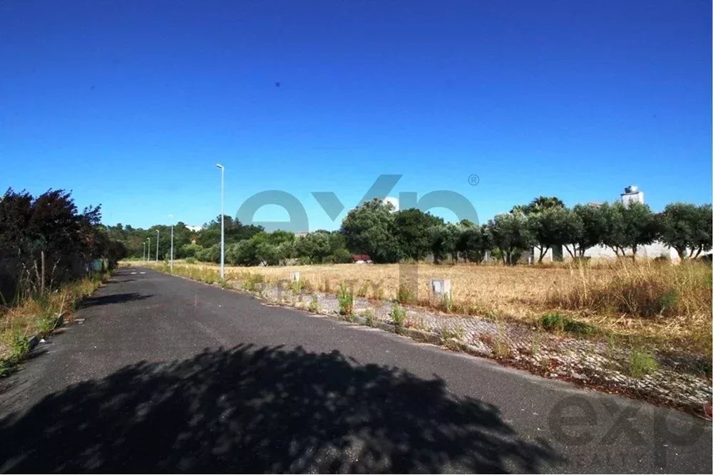 Infrastructured Allotment For The In Cartaxo E Vale Da Pinta, Portugal ...