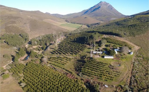 Luxury farm ranches for sale in Herbertsdale, Western Cape, South ...