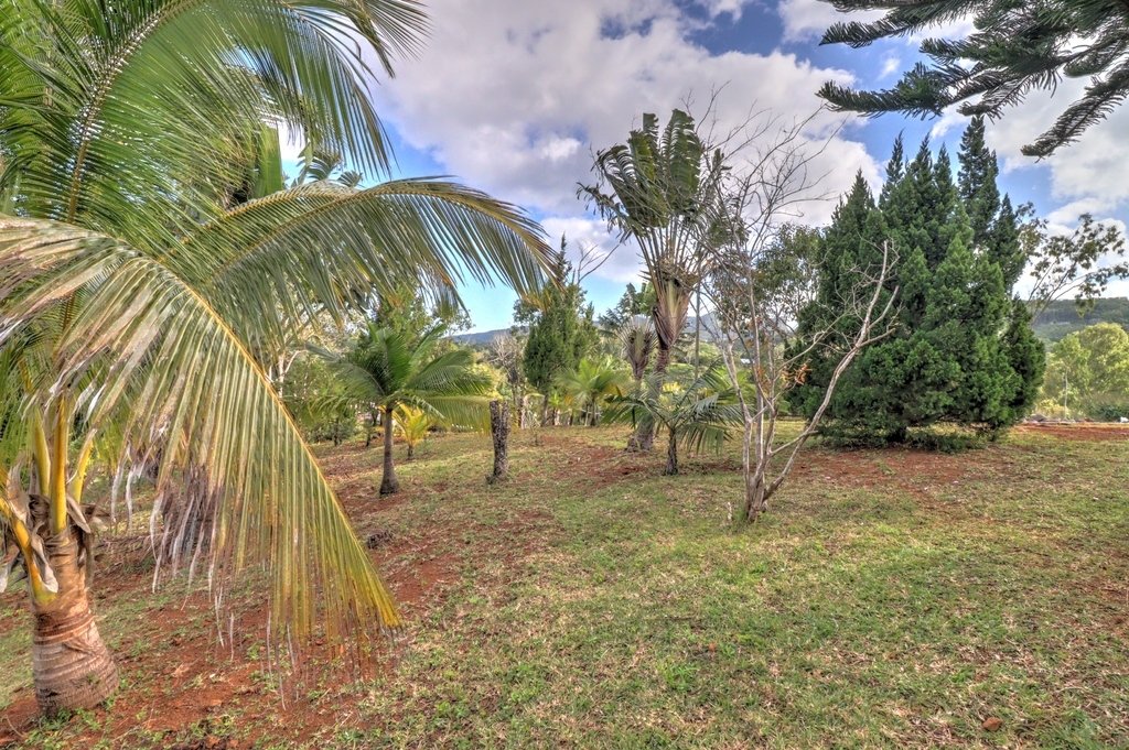 Agricultural Land With 3 Bedroom In Chamarel, Rivière Noire District ...