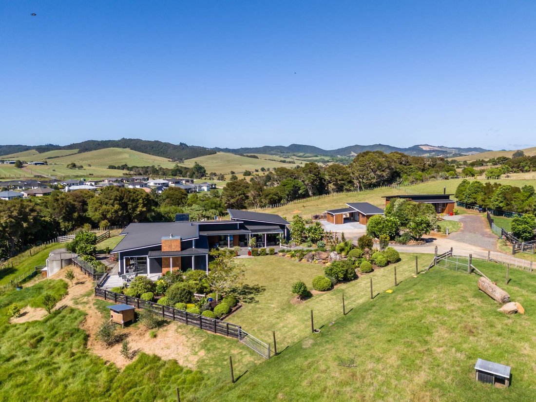 Modern Elegance On Native Bush Sanctuary In Haruru, Northland, New ...