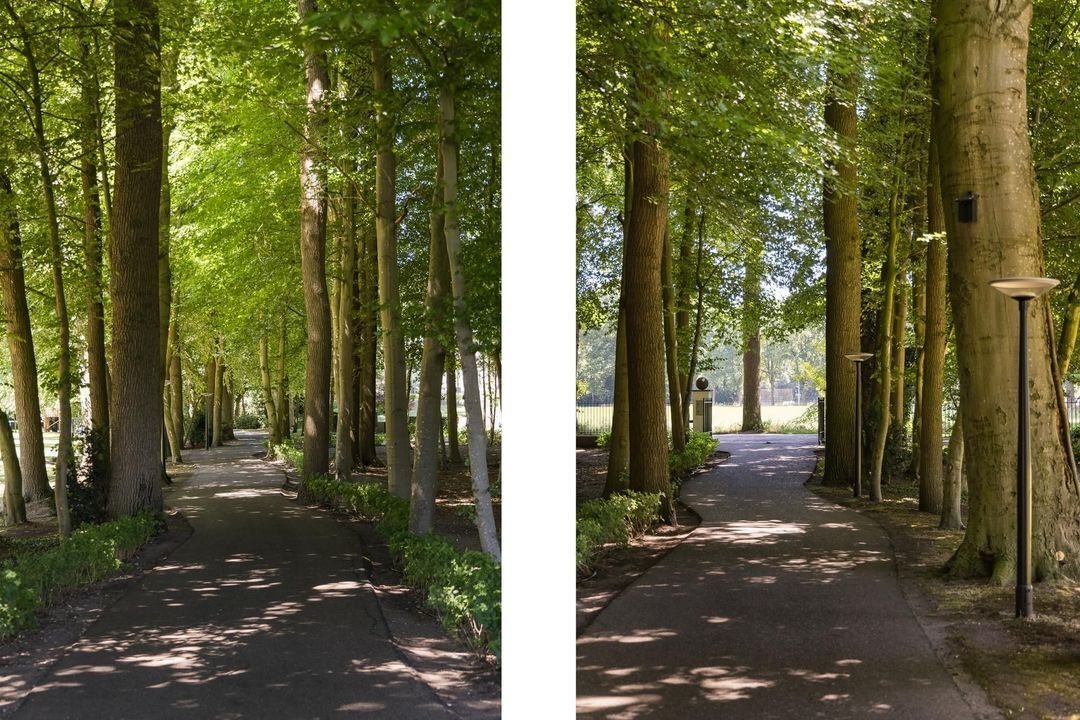 Weg Over De Plaats 4 In 'T Harde, Gelderland, Netherlands For Sale ...