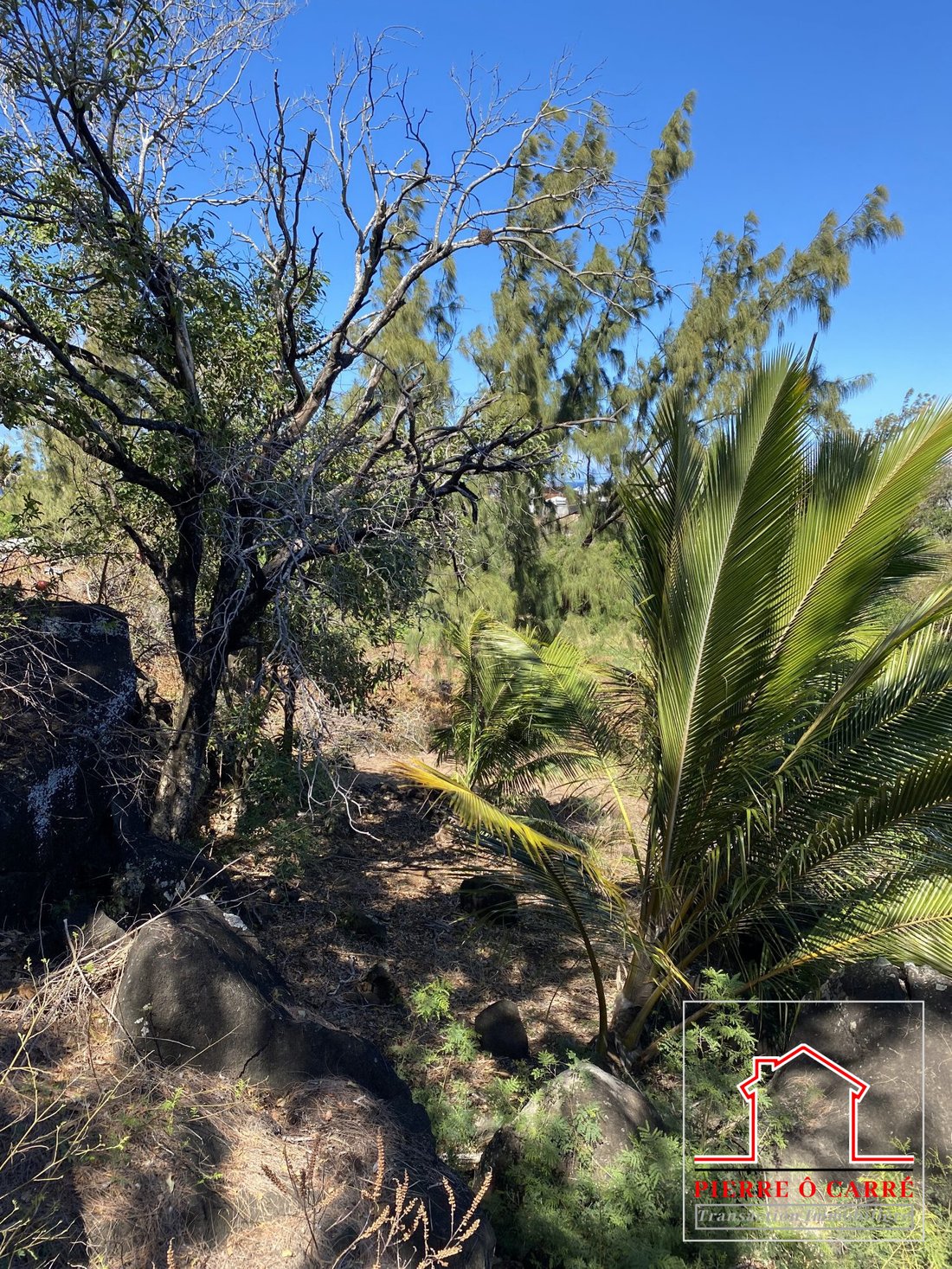 St. Pierre Constructible In Saint Pierre, Saint Pierre, Réunion Zu ...