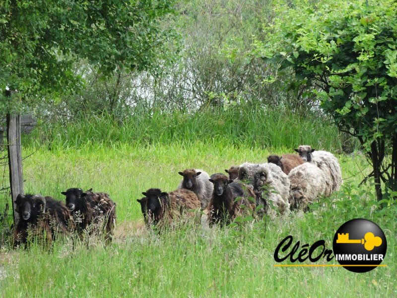 Le Fay Land In Le Fay, Bourgogne Franche Comté, France For Sale (16010489)