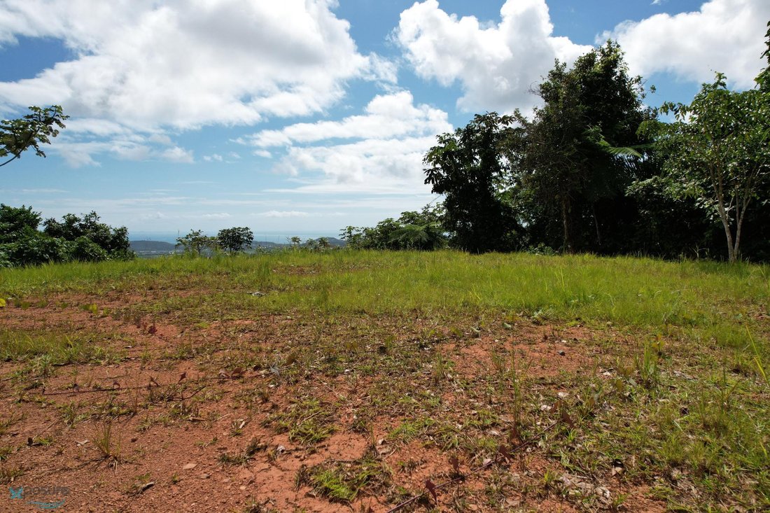 Solar Naranjo In Fajardo, Fajardo, Puerto Rico For Sale (16045772)