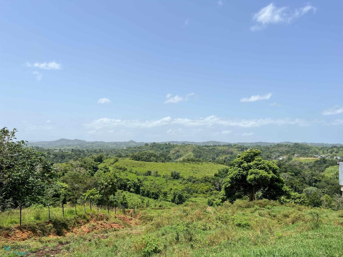 Solar Voladores In Voladoras, Moca, Puerto Rico For Sale (16045795)