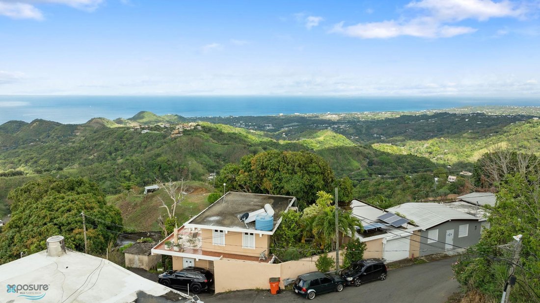Casa Rincon In Rincon, Puerto Rico For Sale (16046940)