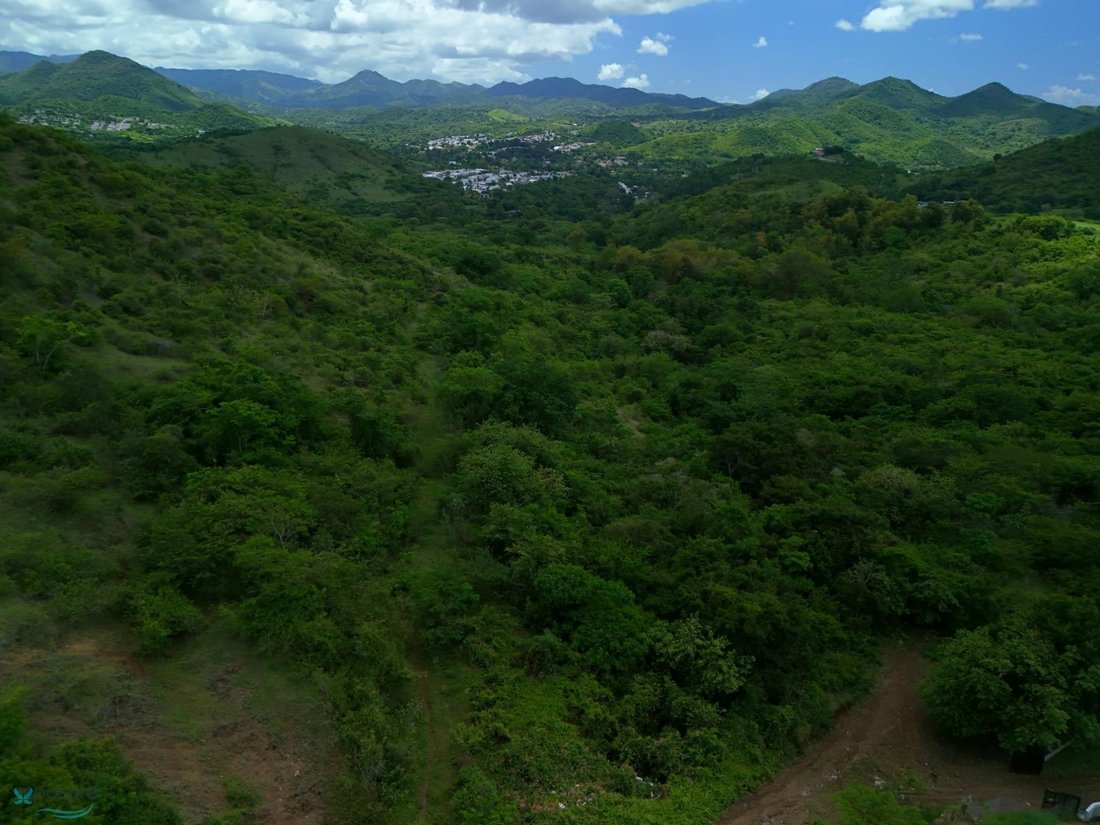 Solar Pasto In Coamo, Coamo, Puerto Rico For Sale (16045667)