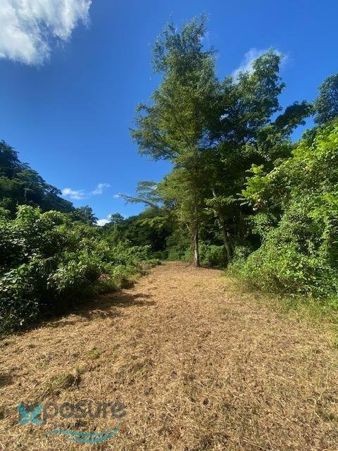 Solar Miraflores In Miraflores, Puerto Rico For Sale (16045497)