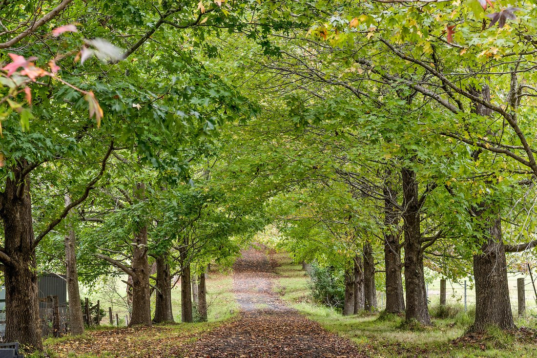 The Country Dream On 11 Acres In Meroo Meadow, New South Wales, Australia For Sale (16071123)