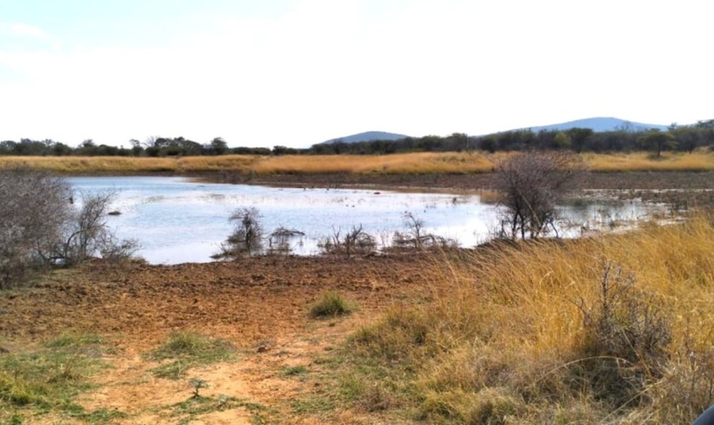 Prime 4,300ha Cattle & Game Farm – A Rare In Mokopane, Limpopo, South ...