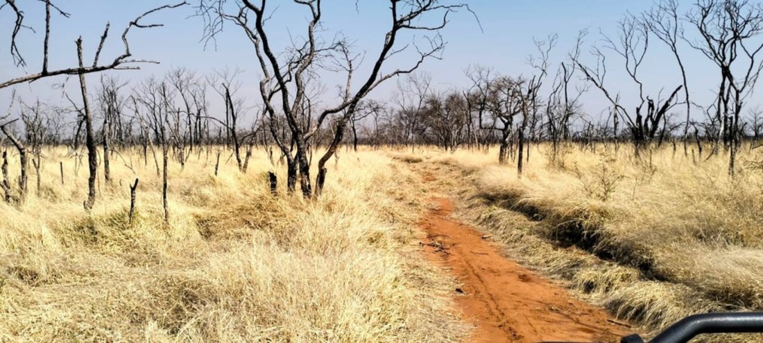 Prime 4,300ha Cattle & Game Farm – A Rare In Mokopane, Limpopo, South ...