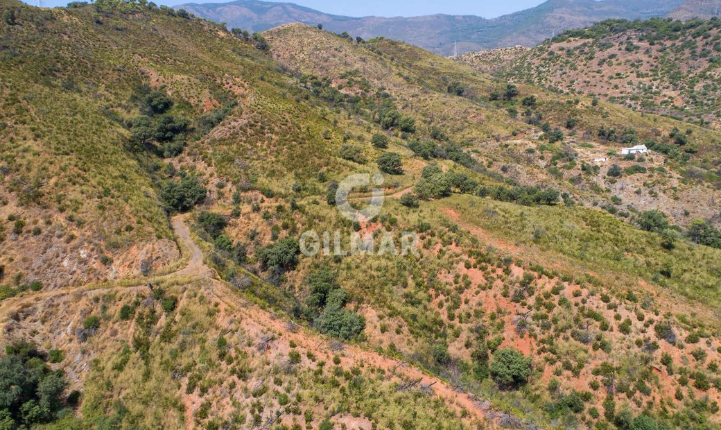Málaga Rustic Country Plot In Estepona, Andalusia, Spain For Sale ...