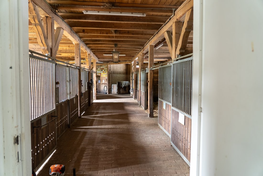Stud Farm Property For Sale In A Secluded In Springe, Lower Saxony ...