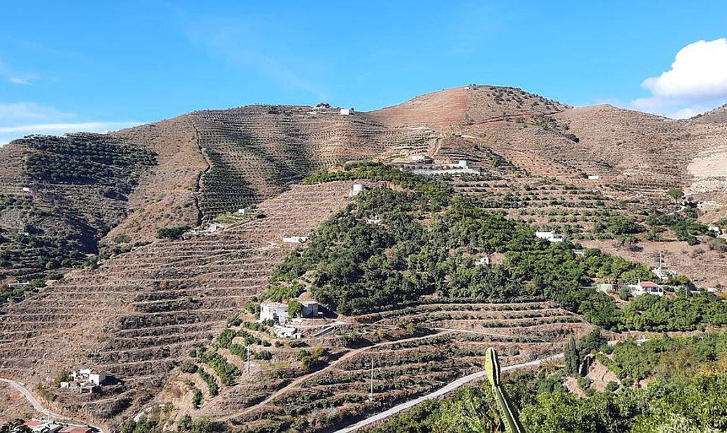 Organic Finca With Beautiful House Near In Almunecar, Andalusia, Spain ...