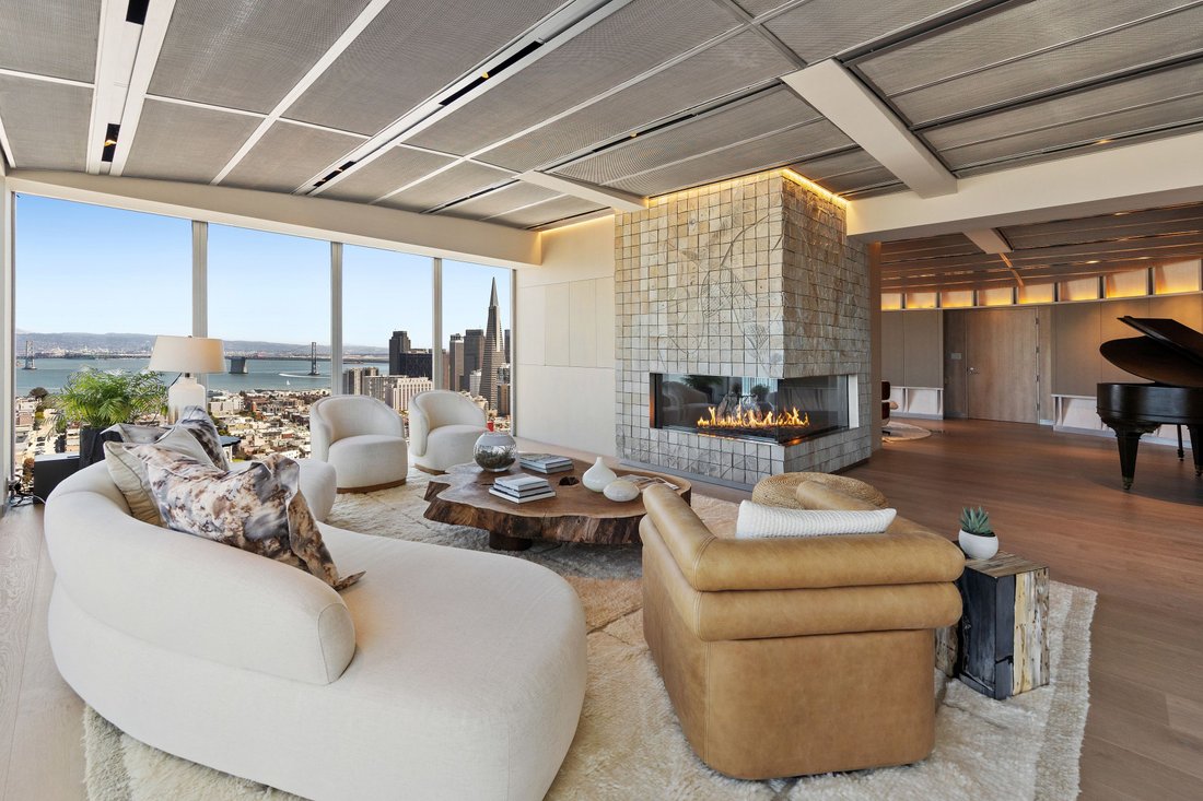Erin Martin Designed View Apartment In San Francisco, California ...