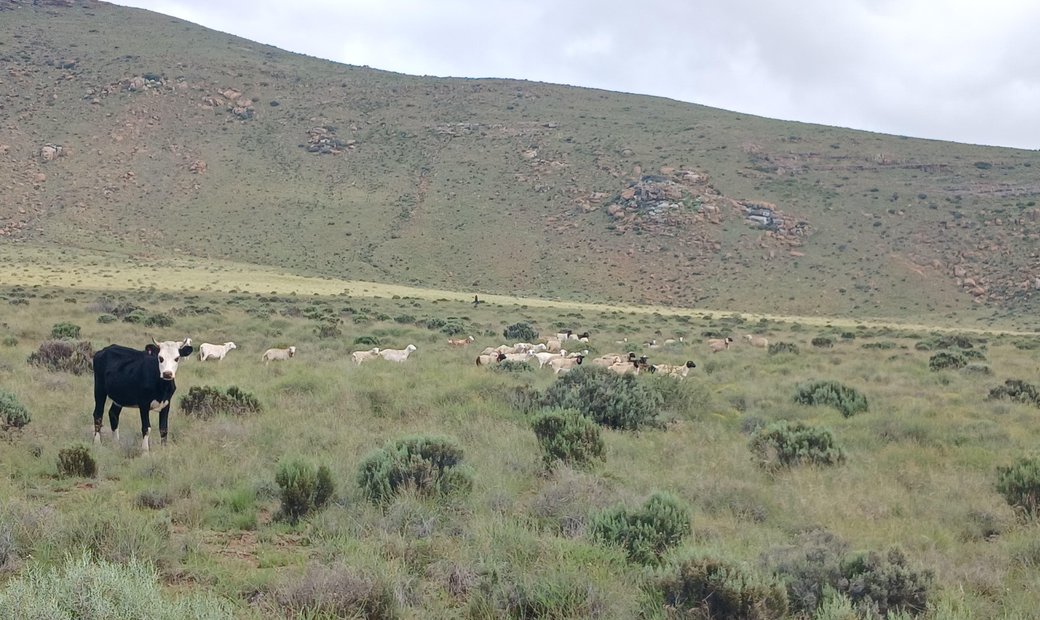 2485,8238 Ha Plaas In Richmond In Richmond, Northern Cape, South Africa ...