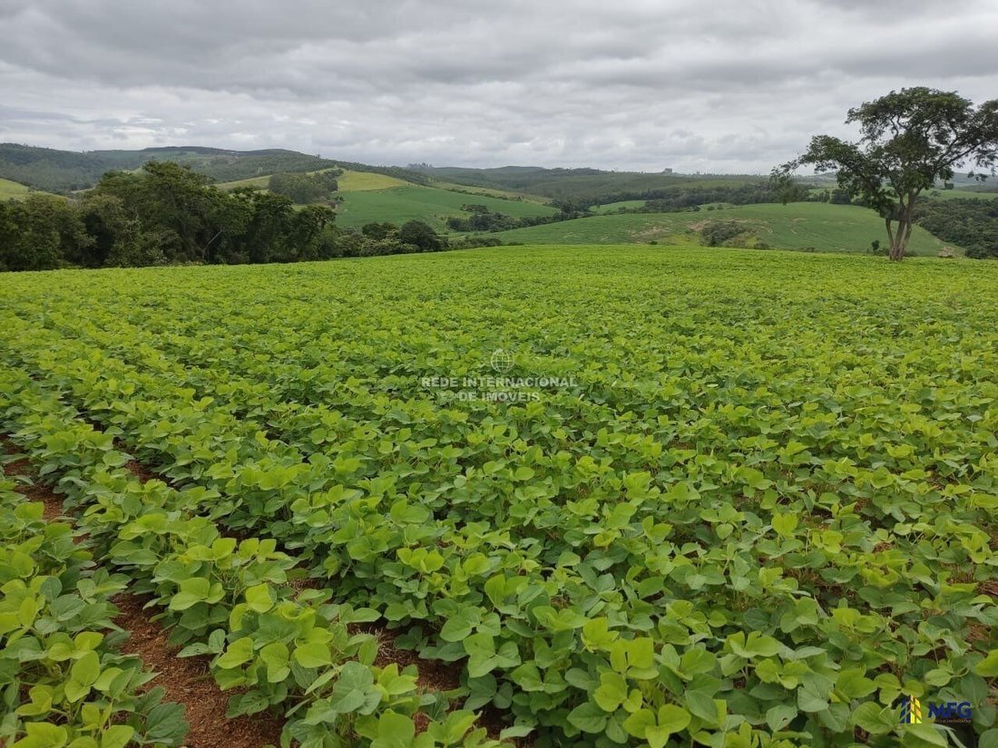 Farm/Ranch área Rural Brazil In Ronco, State Of Paraná, Brazil For Sale ...