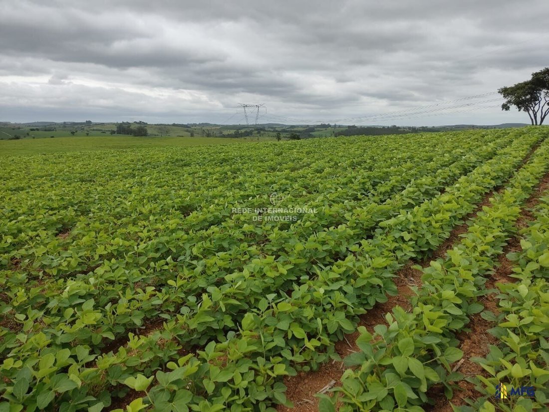 Farm/Ranch área Rural Brazil In Ronco, State Of Paraná, Brazil For Sale ...