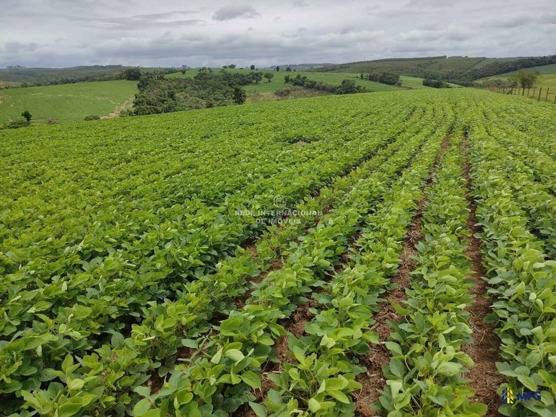 Farm/Ranch área Rural Brazil In Ronco, State Of Paraná, Brazil For Sale ...