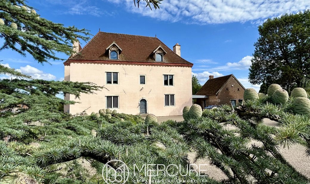 Castillo Del Siglo Xvii En Chalon Sur Saône, Borgoña Franco Condado ...