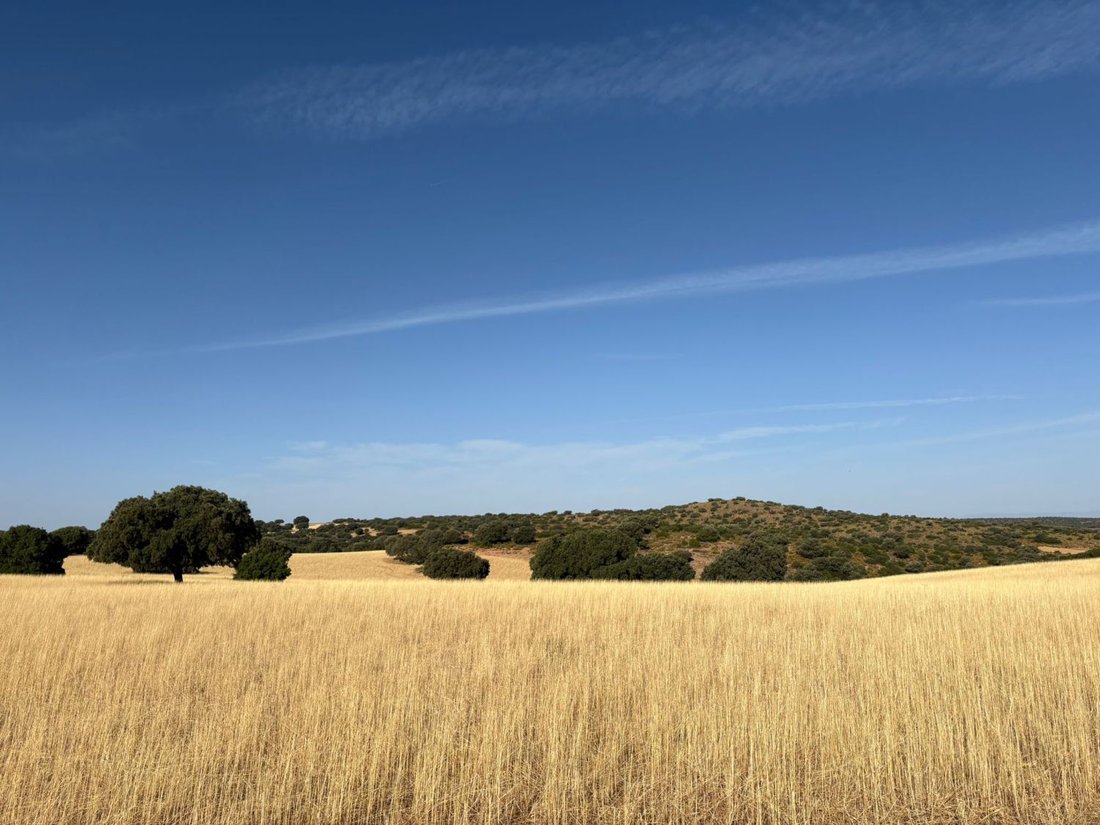 Finca Rústica Venta Ciudad Real In Ciudad Real, Castile La Mancha ...