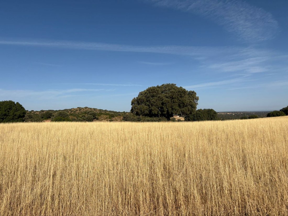 Finca Rústica Venta Ciudad Real In Ciudad Real, Castile La Mancha ...