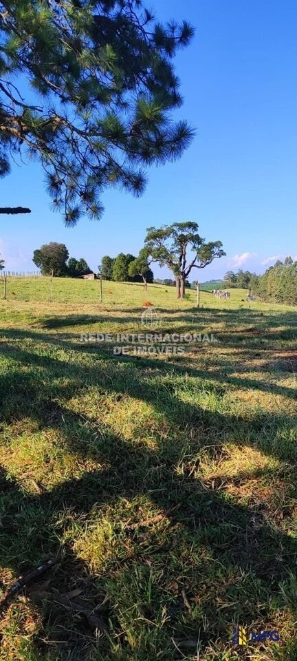 Farm/Ranch área Rural Brazil In Ronco, State Of Paraná, Brazil For Sale ...