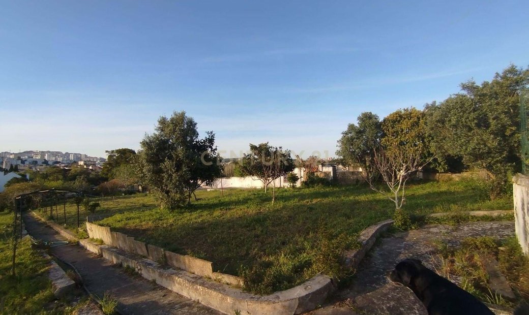 Farm/Ranch Sintra Portugal In Belas, Portugal For Sale (16162648)
